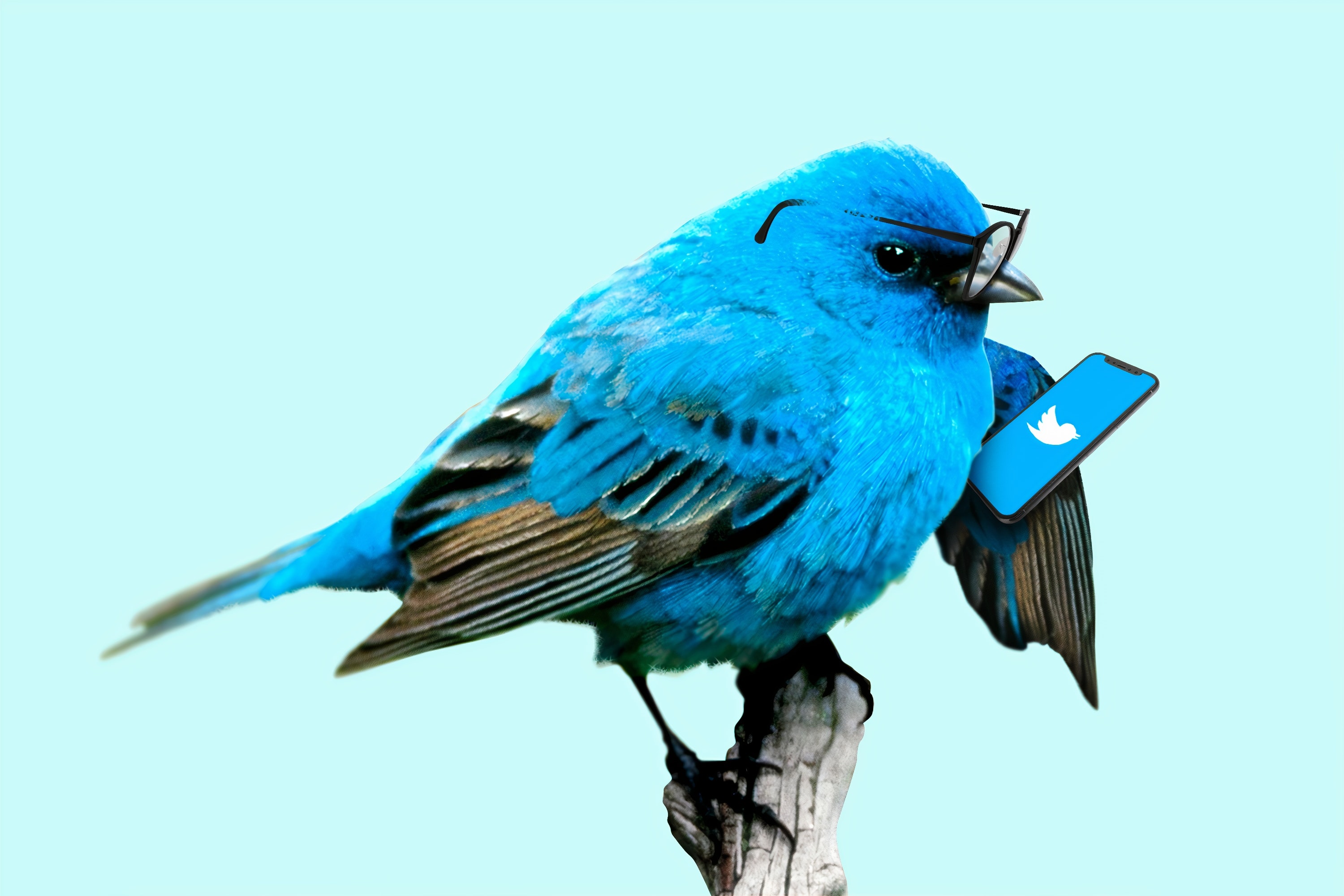 Twitter Launches New Developer API - InfoQ