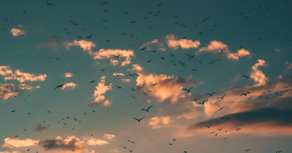 Microsoft Announces Azure Managed Instance for Apache Cassandra - InfoQ