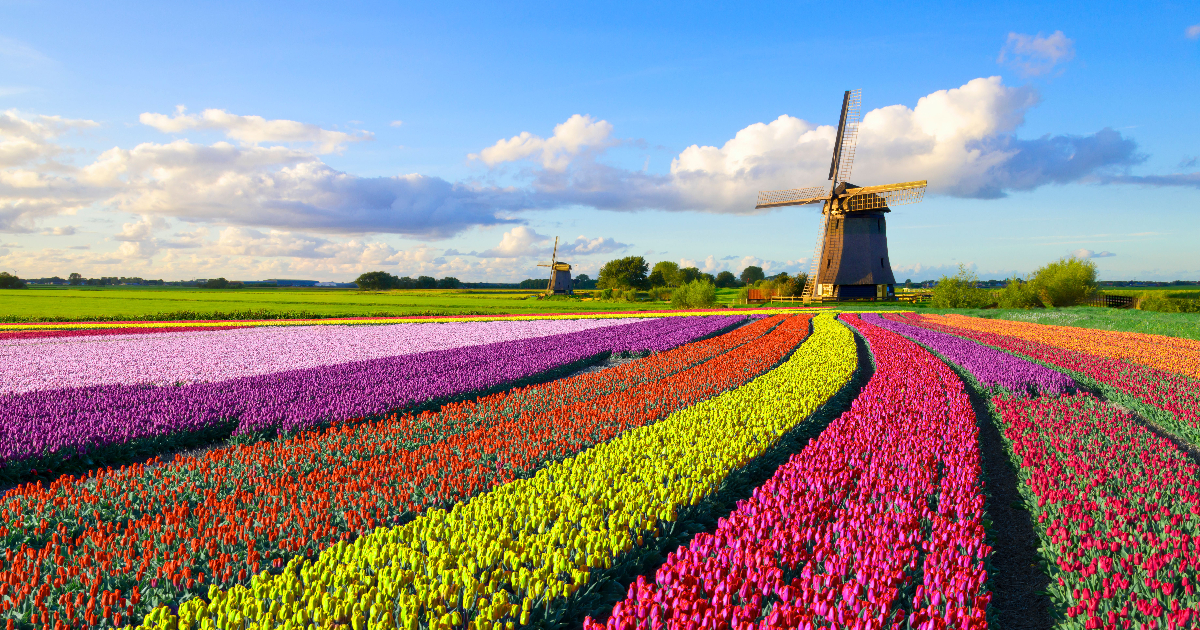 Convert Spring Boot Apps To Graalvm With Spring Native Beta Infoq