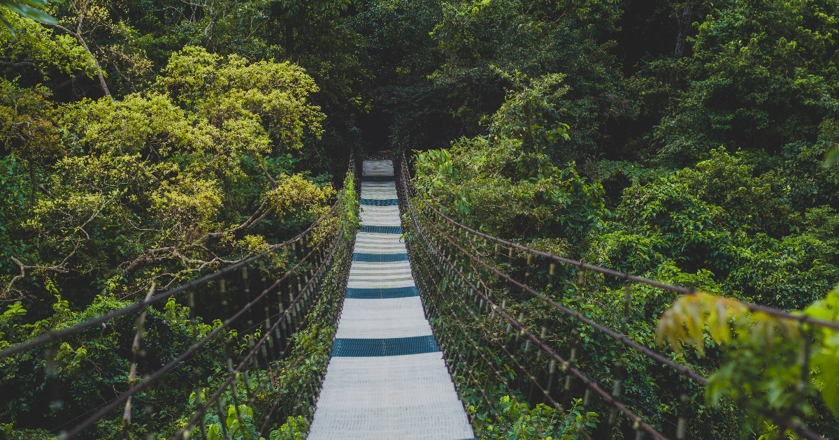 Need Help Tracking Cloud Emissions? Microsoft Previews Microsoft Cloud ...